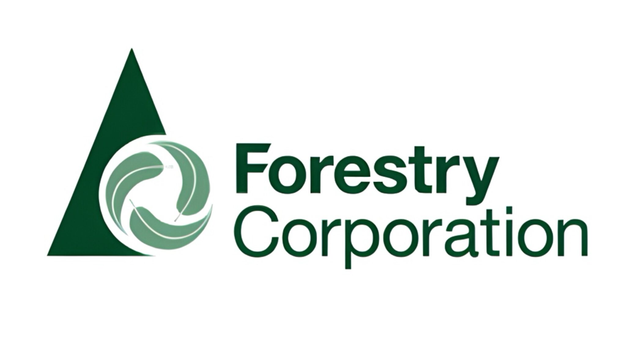 JNL REBRANDED MILLARI NZ | Timber & Forestry Enews