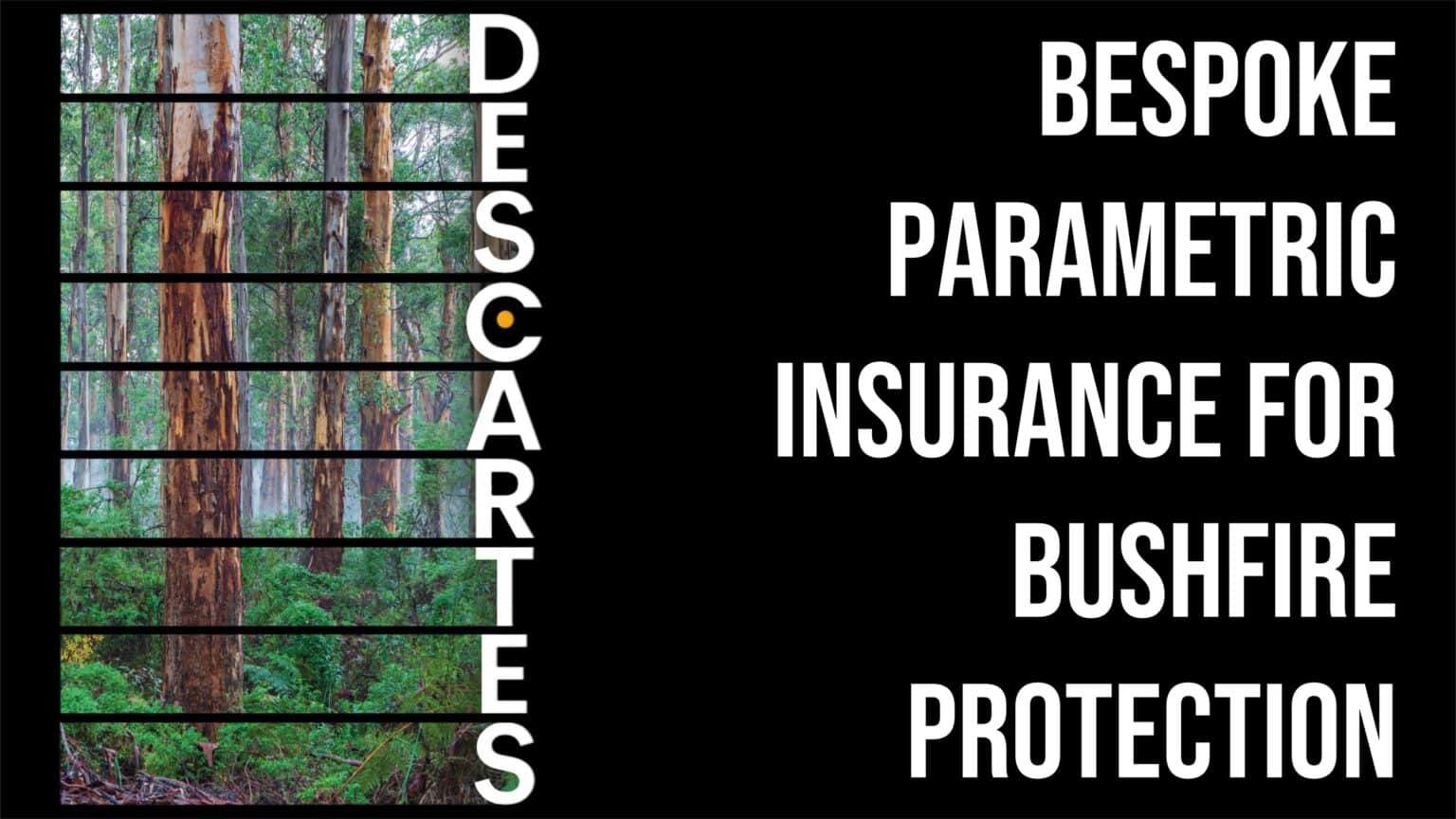 Timber & Forestry Enews | Timber & Forestry Weekly Online Magazine ...